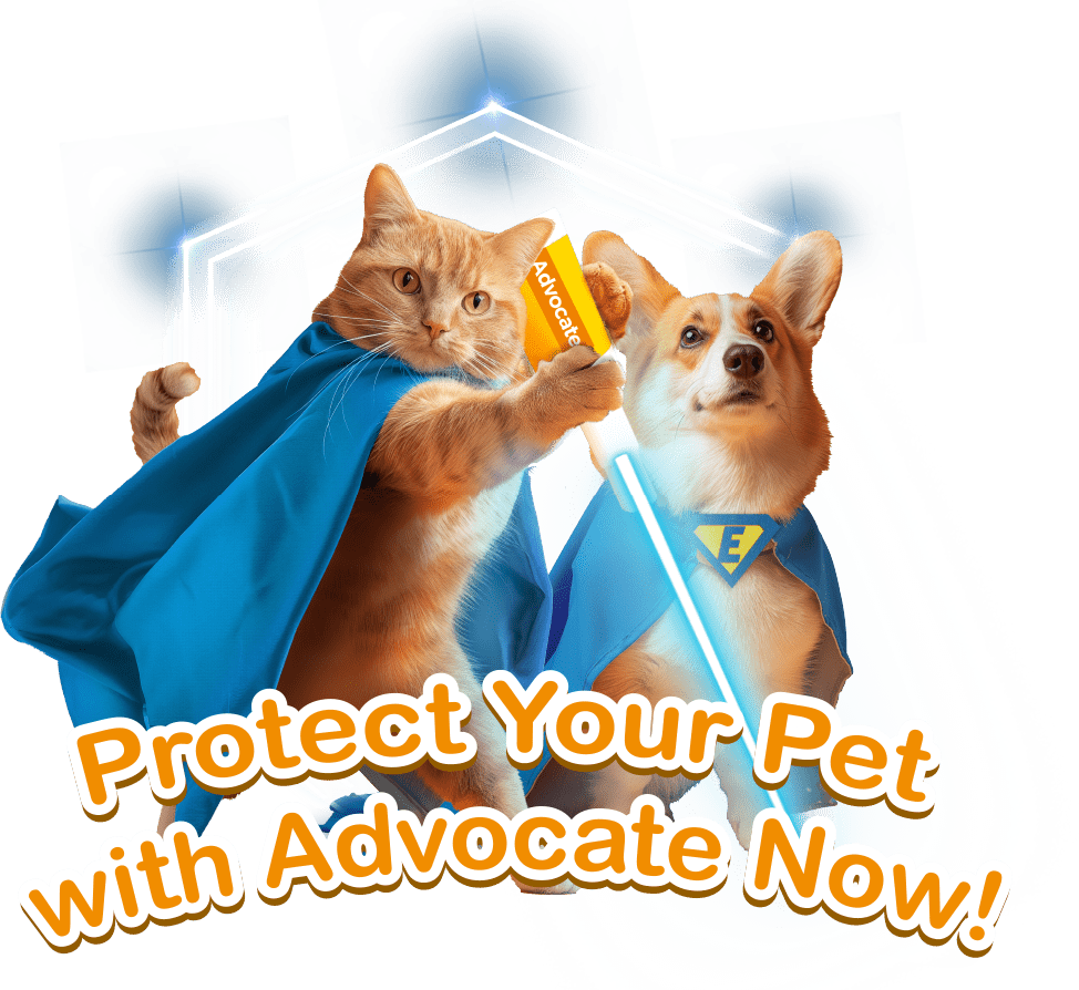 Upload Receipt with Advocate Spot-on Solution to Win Prize (worth up to ...